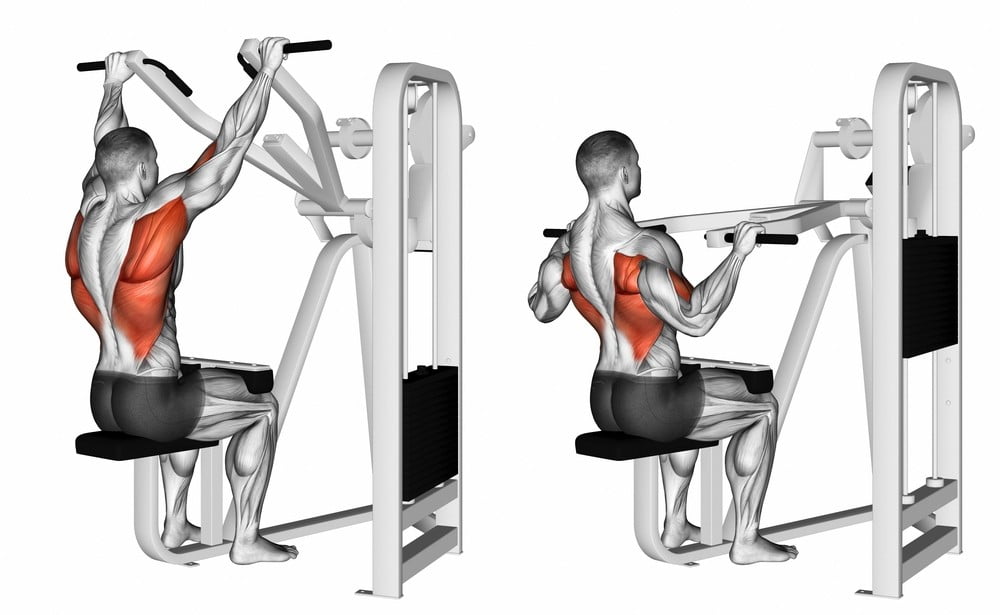 What Are The Difference Between Pull-Ups And Lat Pull Down » Fitness