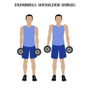 What is Shoulder Shrug Exercise : Types, Benefits & Techniques - Fitness